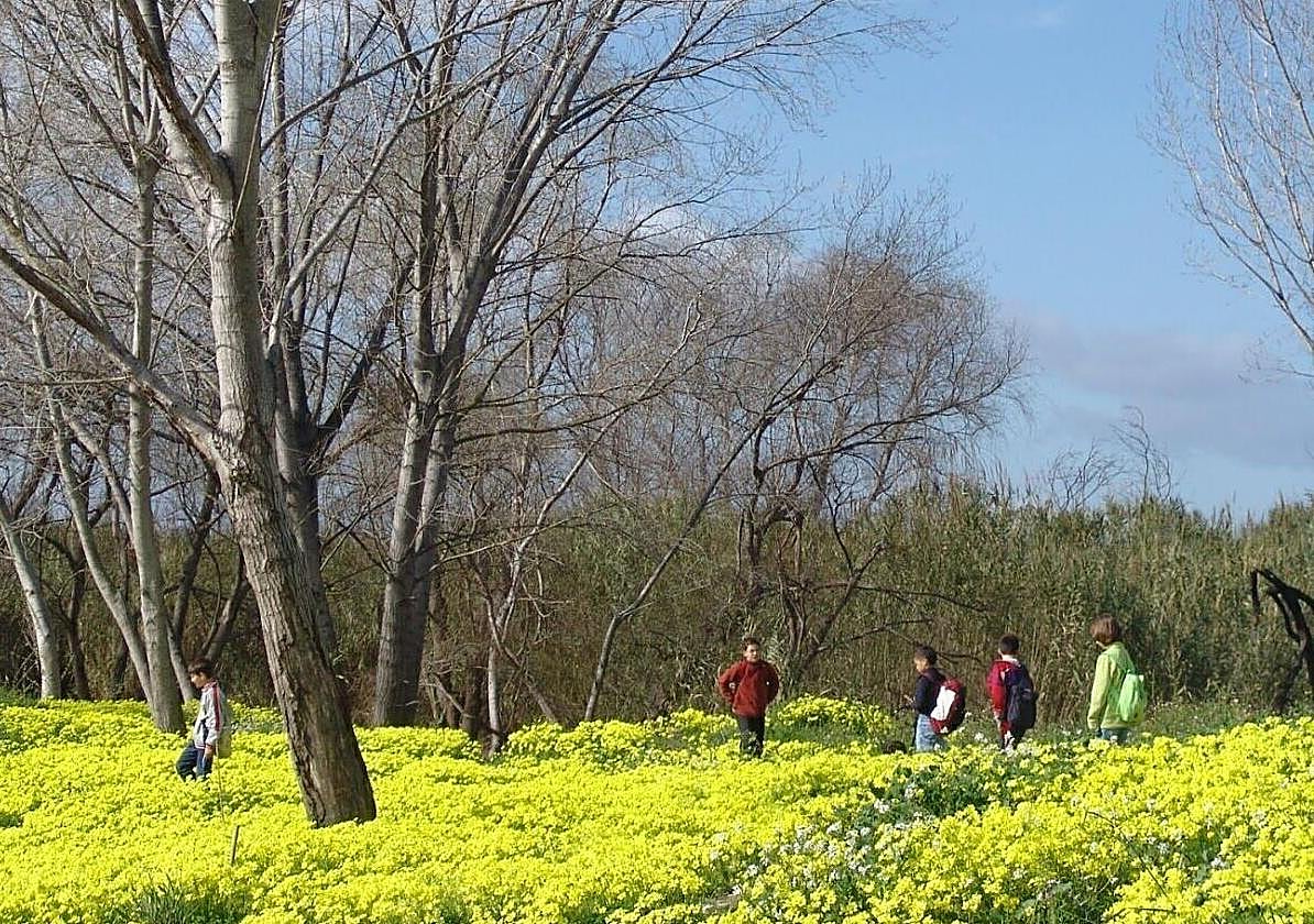 Algemesí programa actividades en Pascua como alternativa al paraje de la Xopera cerrado por la ...